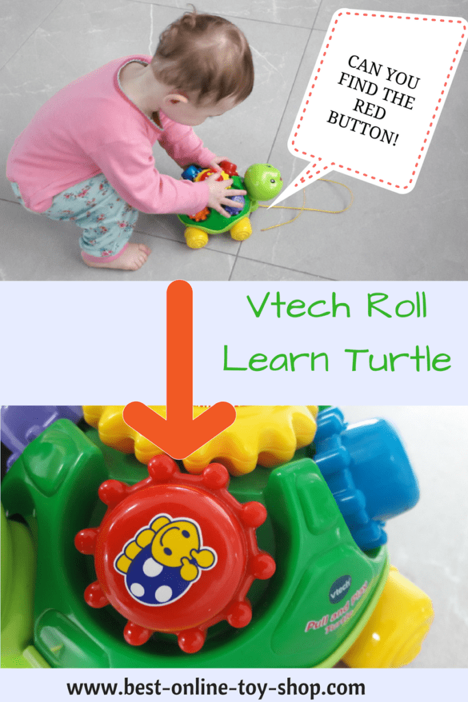 Vtech Pull Along Turtle - Fab Pull Along Toys for Toddlers