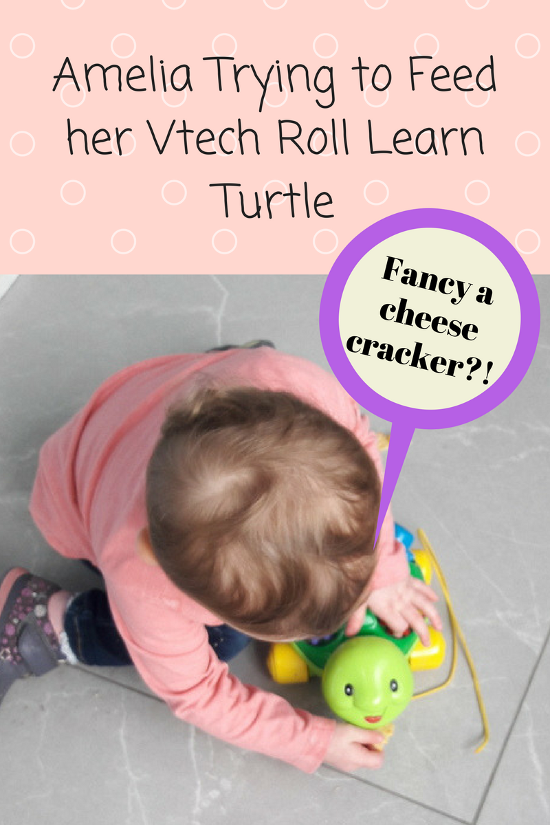 Vtech Pull Along Turtle - Fab Pull Along Toys for Toddlers